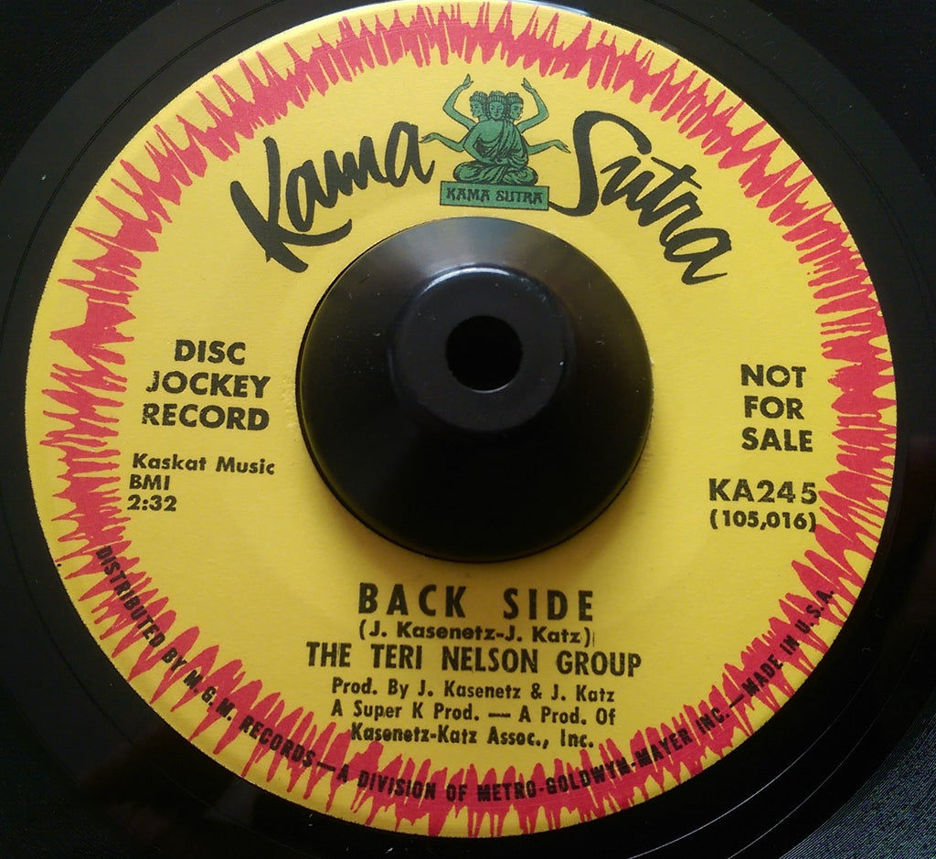 TERI NELSON GROUP - SWEET TALKIN' WILLIE (KAMA SUTRA) Ex Condition – funkyfeet Records